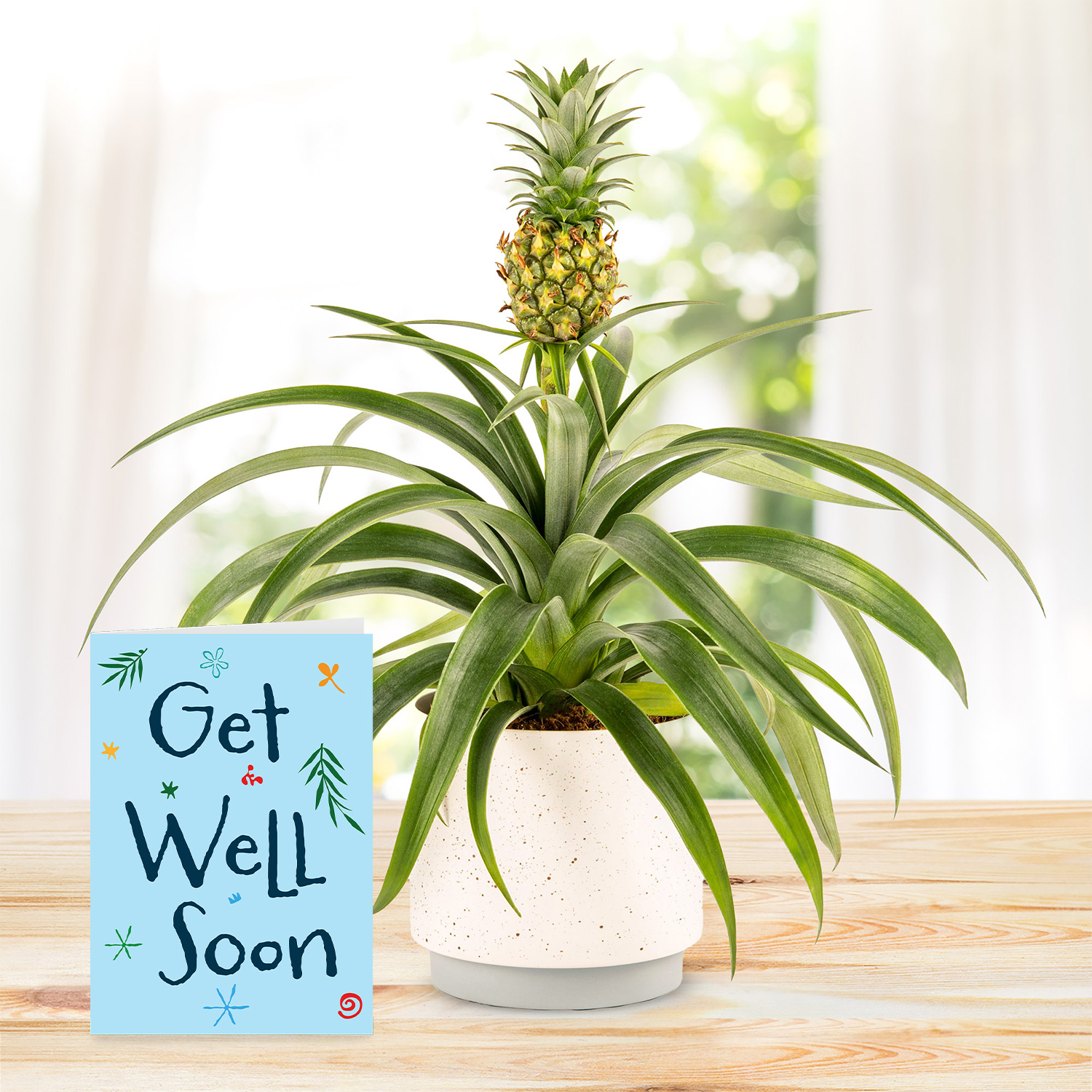 Spring Pineapple with Get Well Soon Card | B&M Flowers