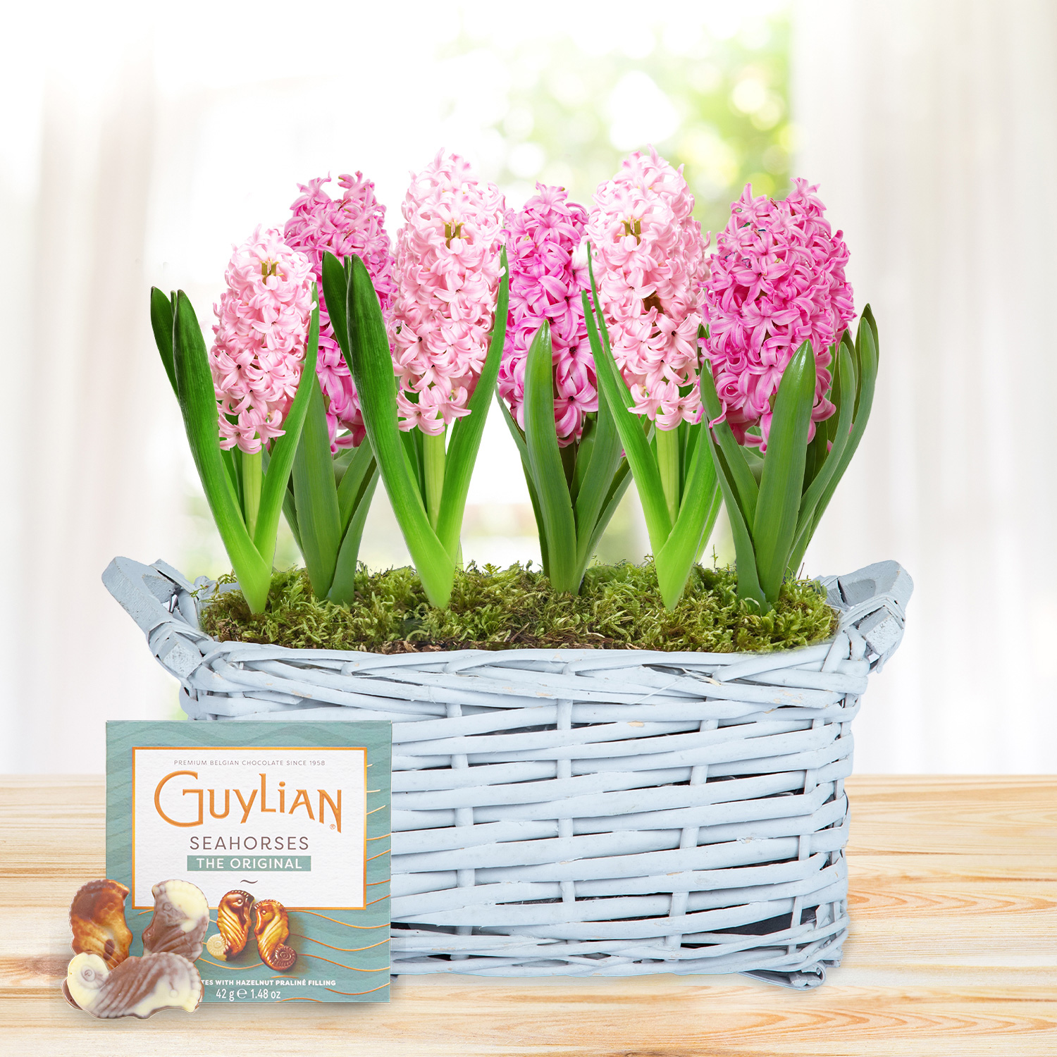 Sweet Hyacinth Gift | B&M Flowers