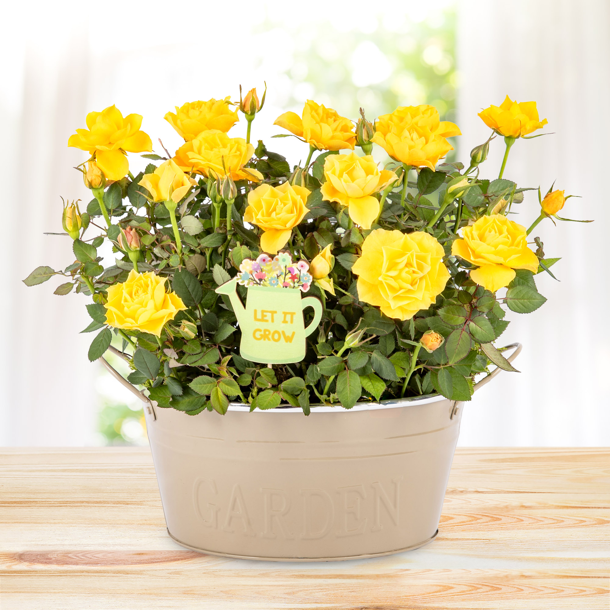 Autumn Delight | B&M Flowers