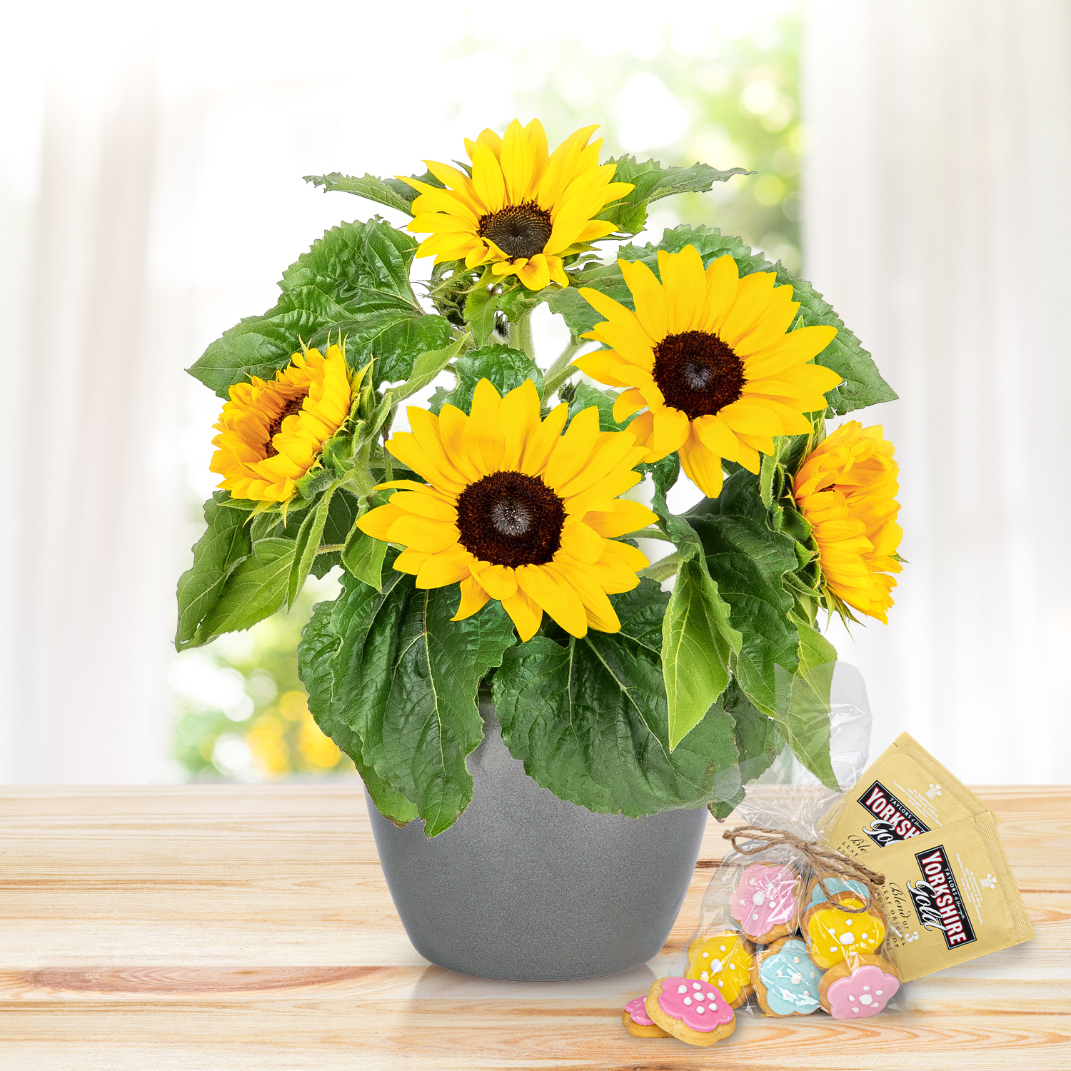 Sunshine Bloom Tea & Biscuits Gift | B&M Flowers