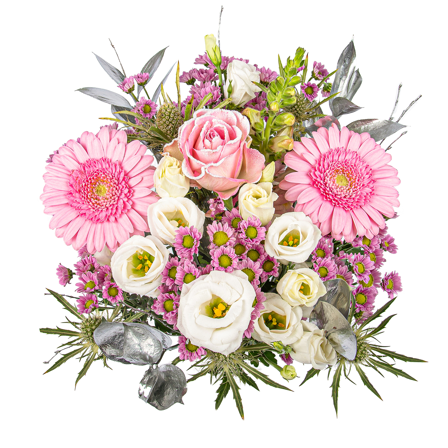Frosted Blush | B&M Flowers
