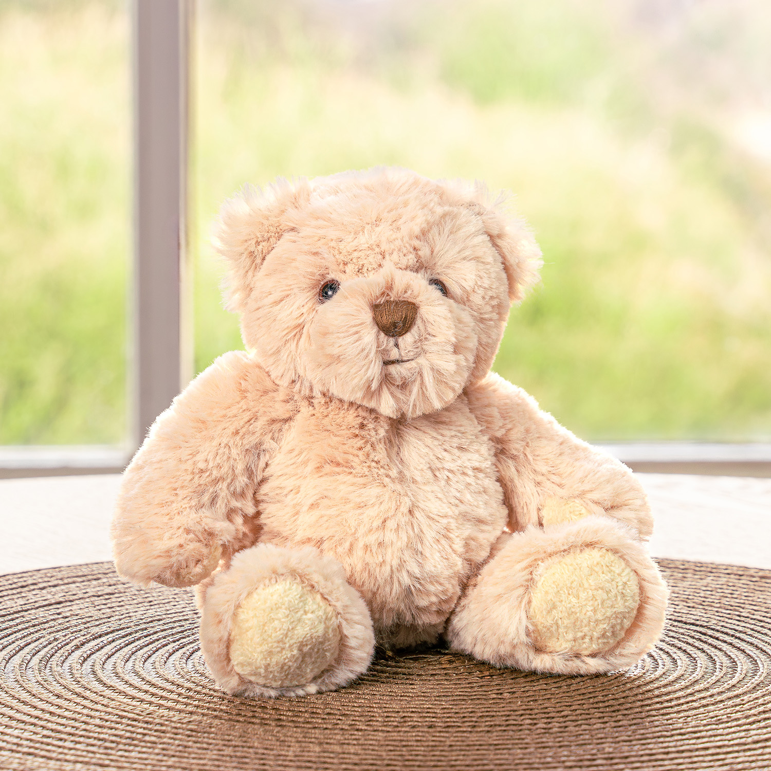 Terrarium Treasure & Bear Gift | B&M Flowers