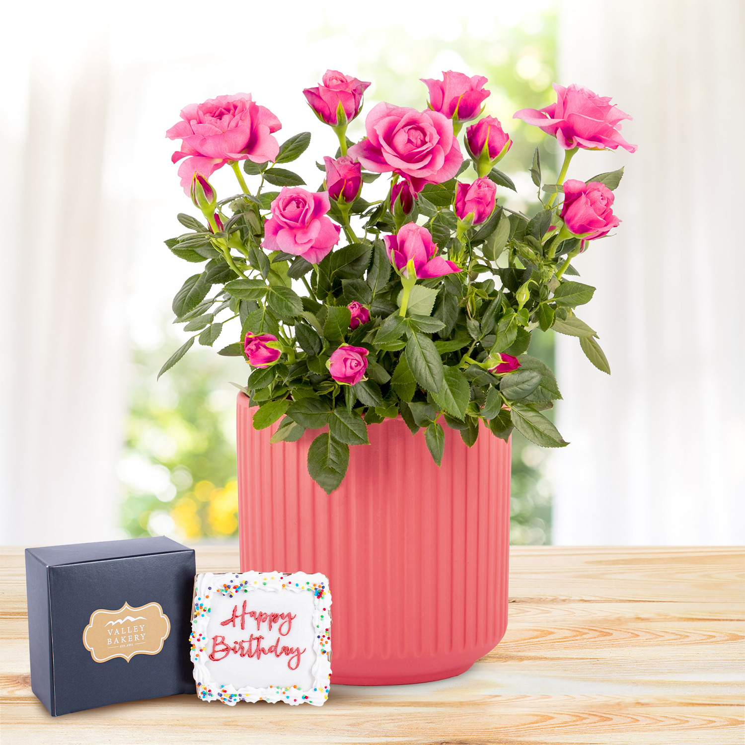 Timeless Roses Birthday Gift | B&M Flowers