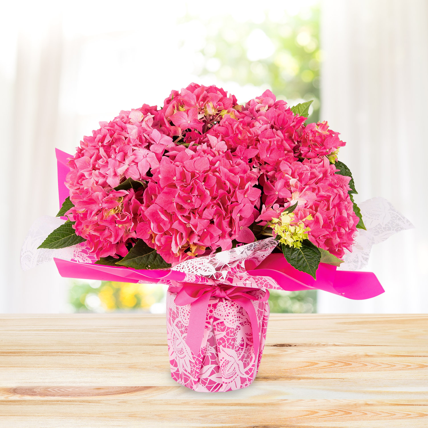 Hydrangea Haven | B&M Flowers